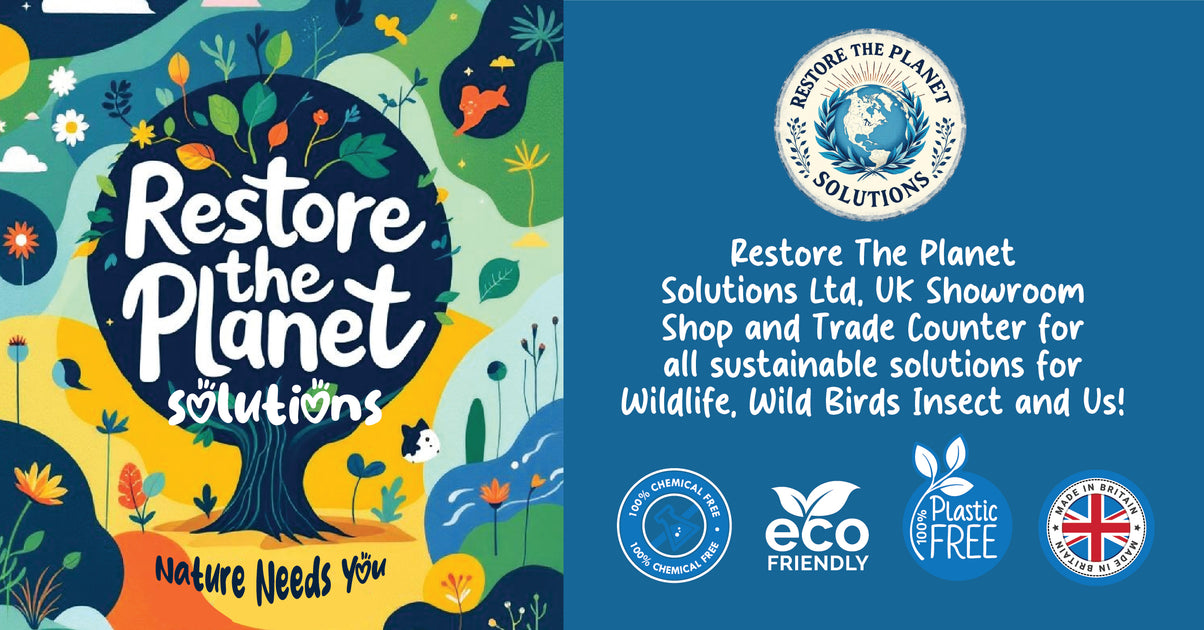 Best Place to site a Bird Nest Box — Restore The Planet Solutions Ltd